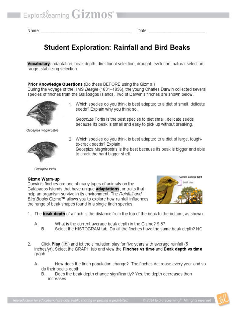 Student Exploration: Rainfall and Bird Beaks | PDF | Biology Theories ...