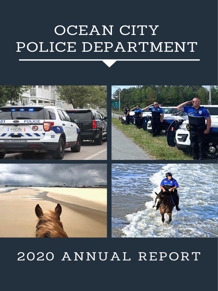 Police Annual Report | PDF | Detective | Uniform Crime Reports