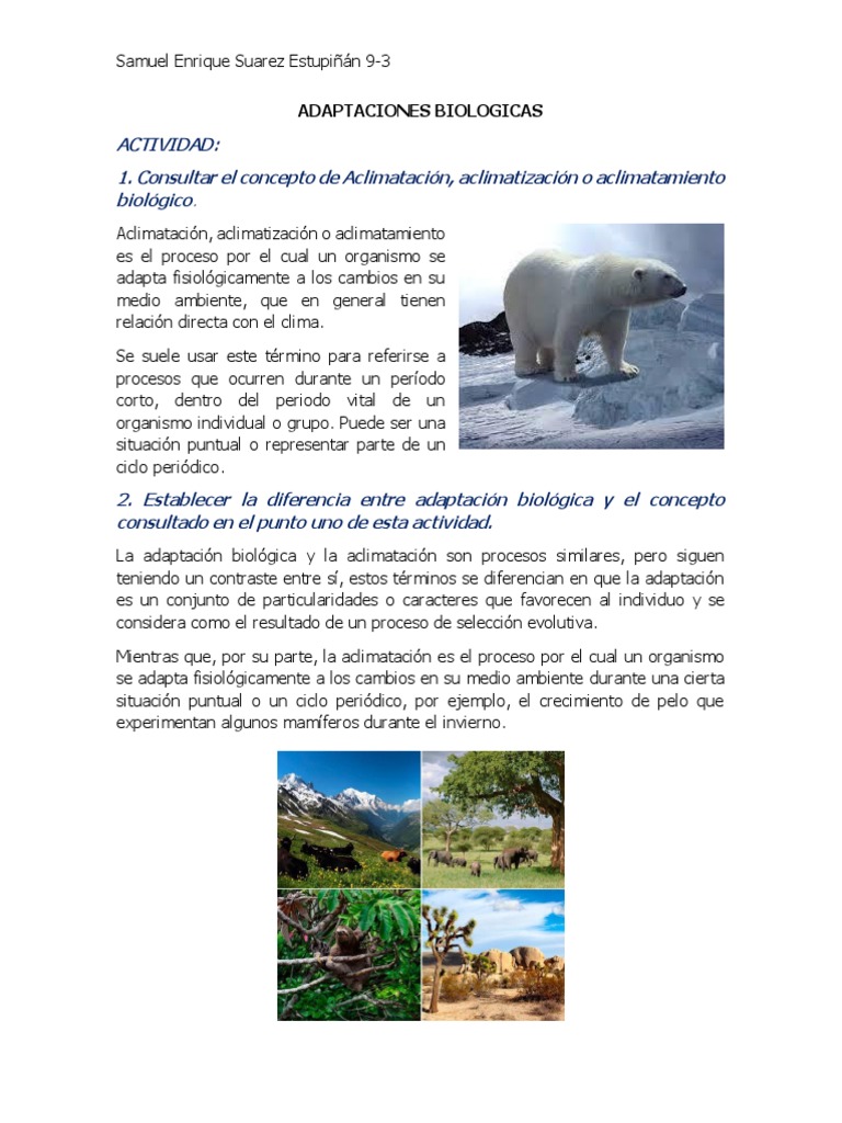 Diferencias y Ejemplos de Adaptaciones Biológicas | PDF | Adaptación | Aves