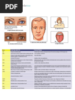 AOS Injury Classification Systems Poster UPPERCERVICAL | PDF | Spinal ...