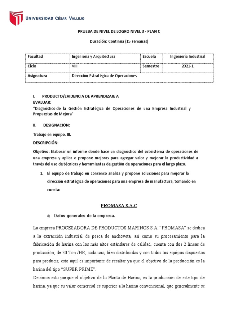 Prueba de Nivel de Logro Nivel 3-Promasa Sac | PDF | Empresas | Calidad (comercial)