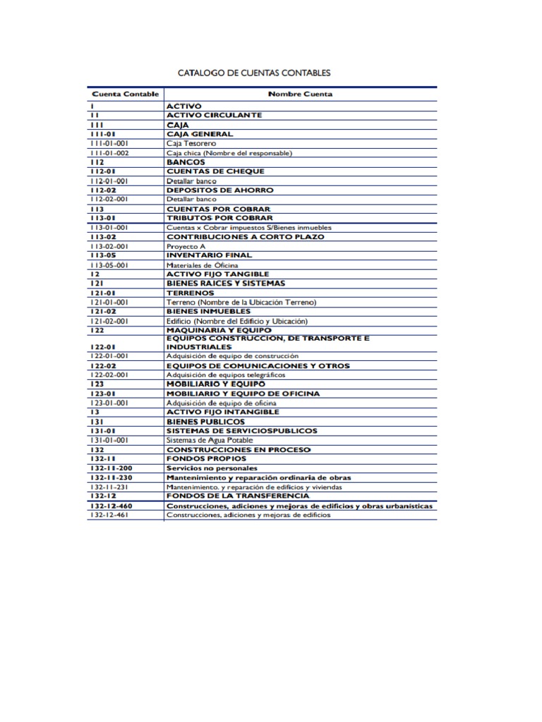 1-Catalogo Contable | PDF