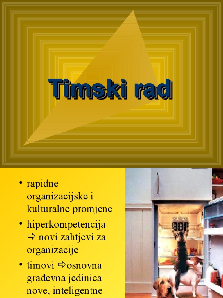 Timski Rad I Vodjenje Tima MTS Iv | PDF
