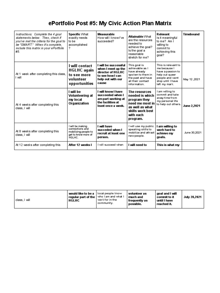 Final Post 5 My Civic Action Plan Matrix | PDF | Goal | Human Nature
