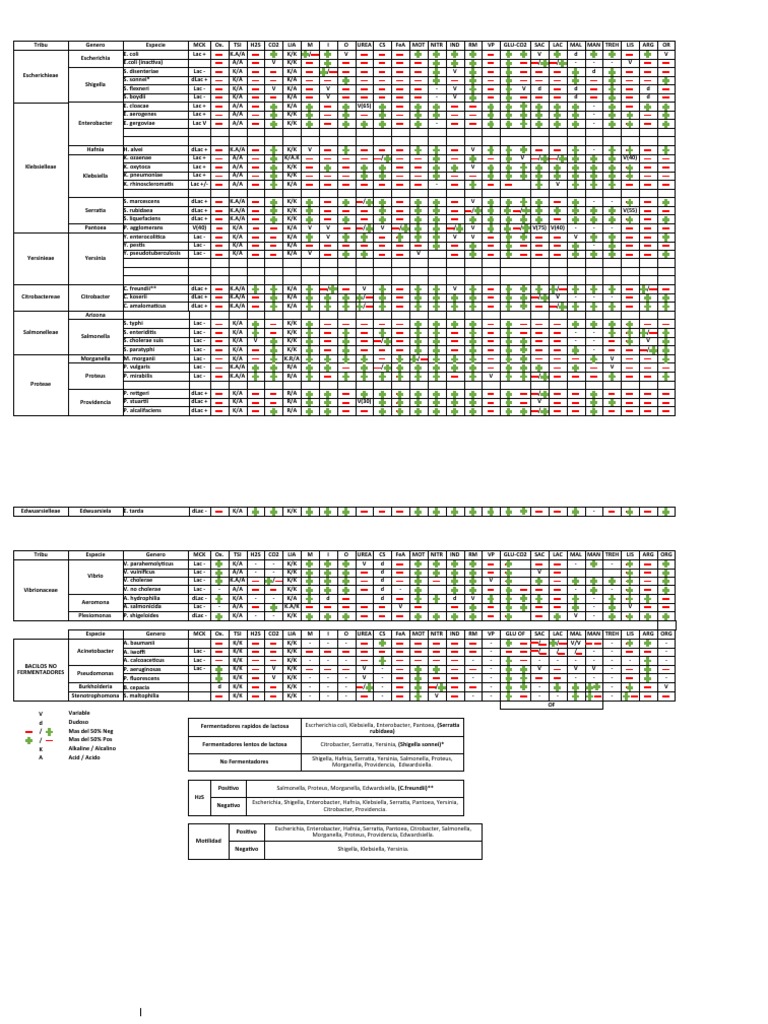 Tabla Pruebas Bioquimicas | PDF | Bacterias Gram-negativo | Procariota