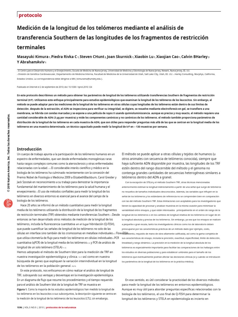 Measurement of Telomere Length by The Southern Blot Analysis of Terminal Restriction Fragment ...