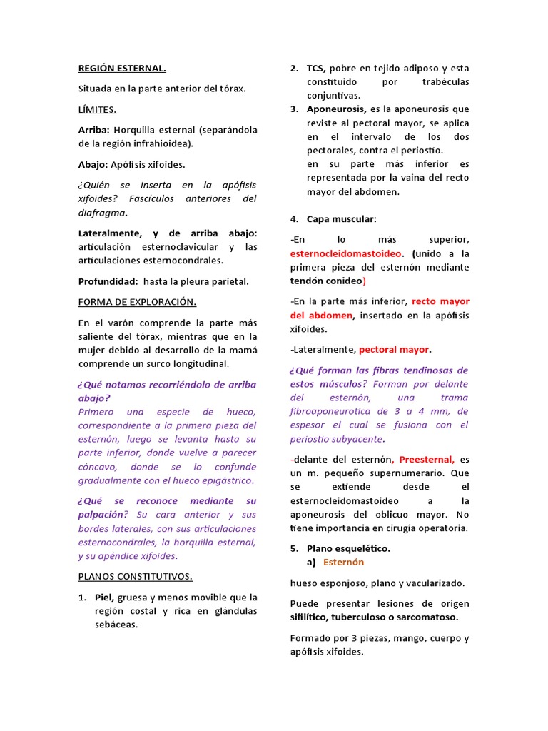 Anatomía de la Región Esternal | PDF | Sistema esquelético | Anatomía ...