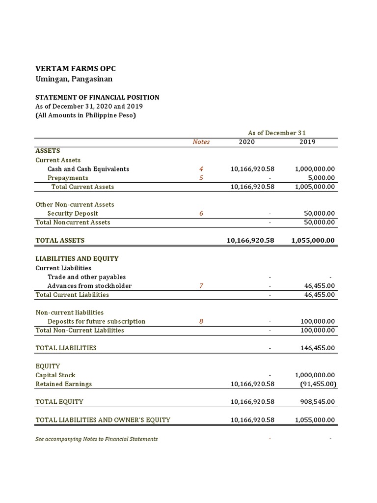Fs - Evilla, E. (Vertam Farms Opc) 2020 | PDF | Going Concern | Equity ...