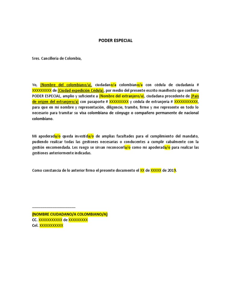 Plantilla Poder Especial (Visa M) | PDF