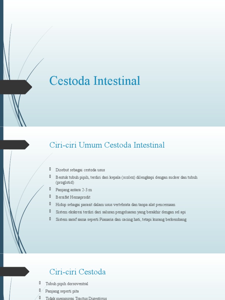Cestoda Intestinal | PDF