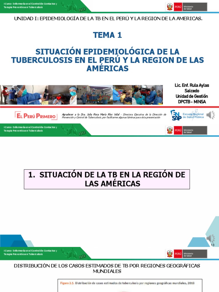Epidemiología de la Tuberculosis en Perú | PDF | Tuberculosis ...