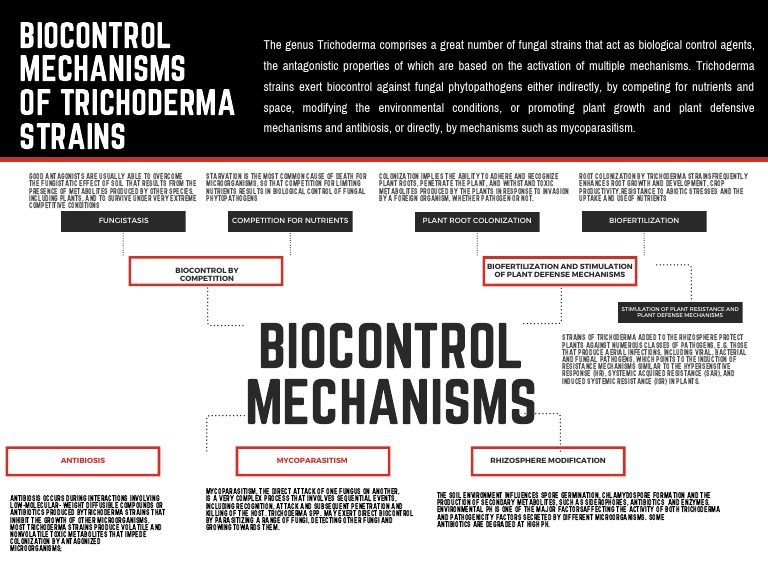 Biocontrol Mechanisms of Trichoderma Strains | PDF | Fungus | Plant Pathology