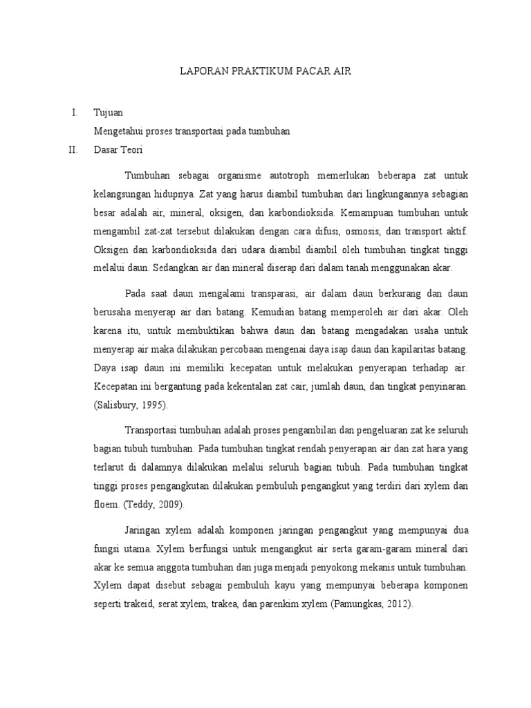 Laporan Pacar Air | PDF
