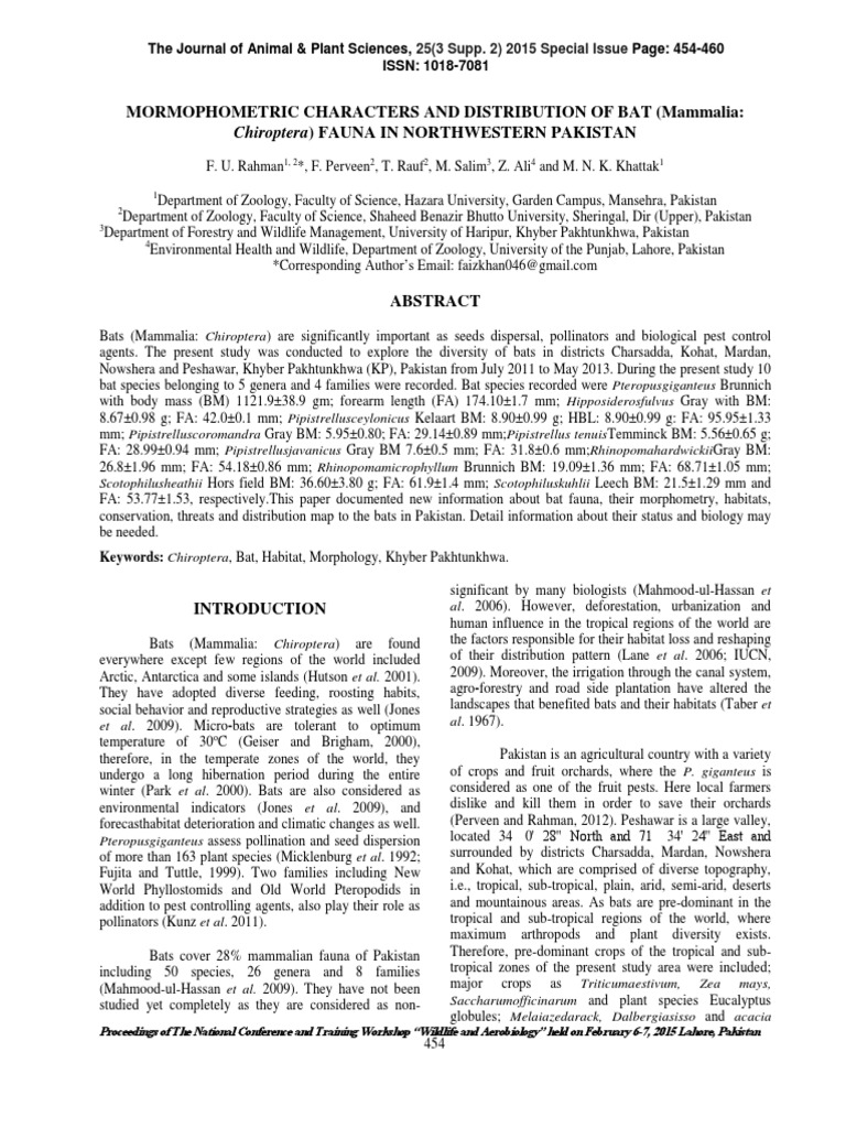 Mormophometric Characters and Distribution of Bat | PDF | Bat | Khyber ...