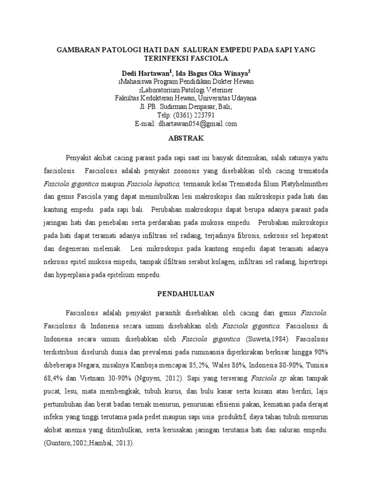 Gambaran Patologi Hati Dan Saluran Empedu Pada Sapi Yang Terinfeksi ...