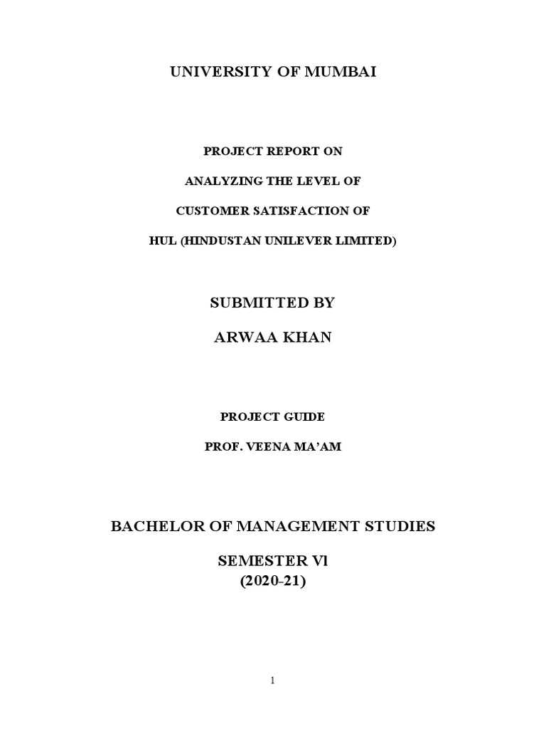 Marketing HUL Project | PDF | Customer Satisfaction | Marketing