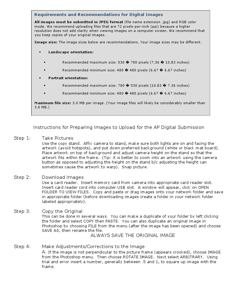 AP Digital Art Submission Guidelines | PDF | Image Resolution | Digital ...