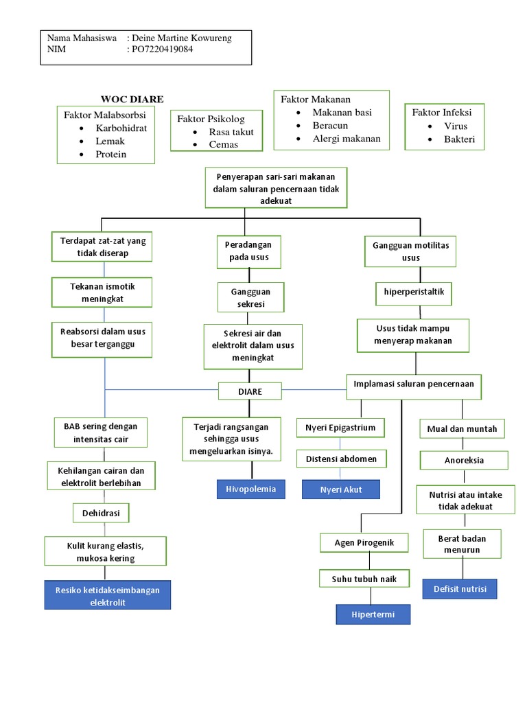 Pathway Diare dalam Keperawatan Anak | PDF