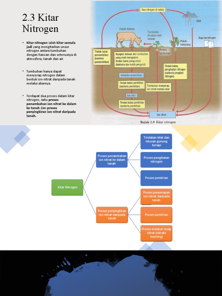Bab 2.3 (Kitar Nitrogen) Sains Tingkatan 5 (2021) | PDF