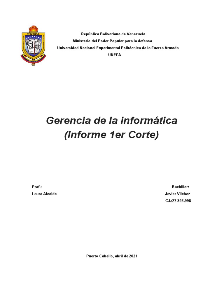 Gerencia de La Informática | PDF | Empresas | Planificación