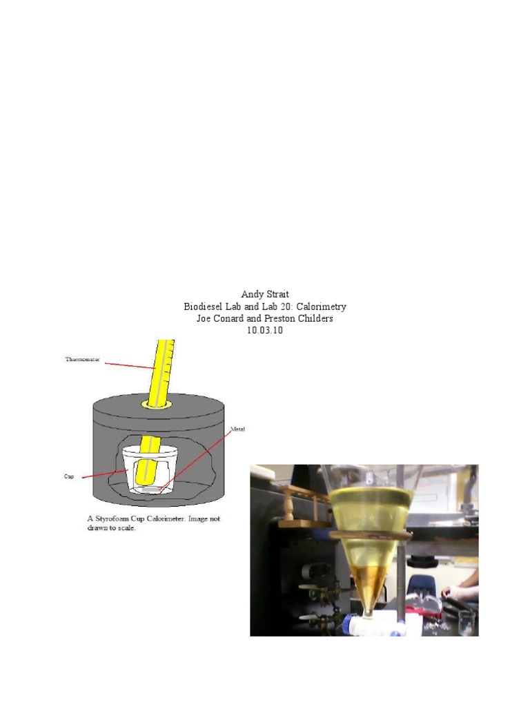 Analysis of Calorimetry Lab Results and Identification of Unknown Metal ...