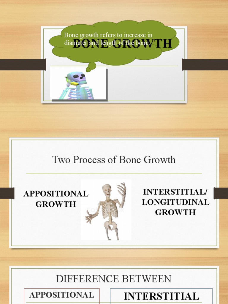 Bone Growth: Bone Growth Refers To Increase in Diameter and Length of ...