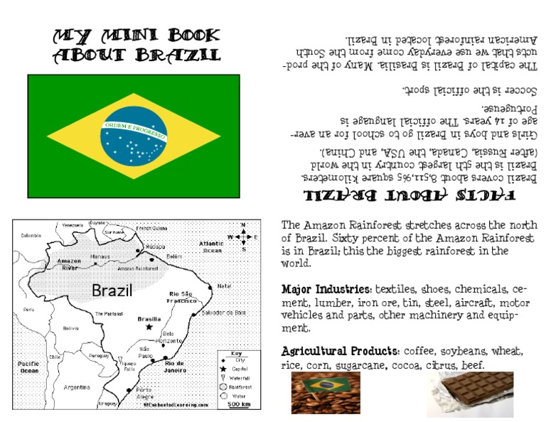 Overview of Brazil's Amazon Rainforest | PDF