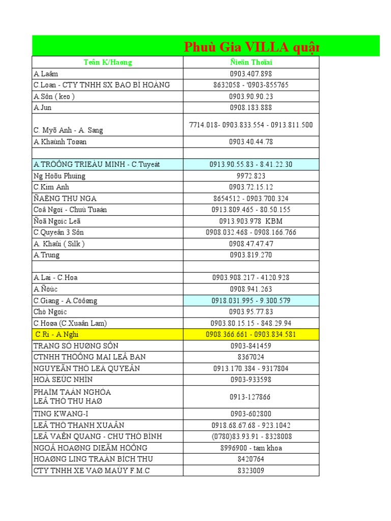 DATA KHACH HANG BDS BIET THU 110 Biet Thu Phu Gia | PDF