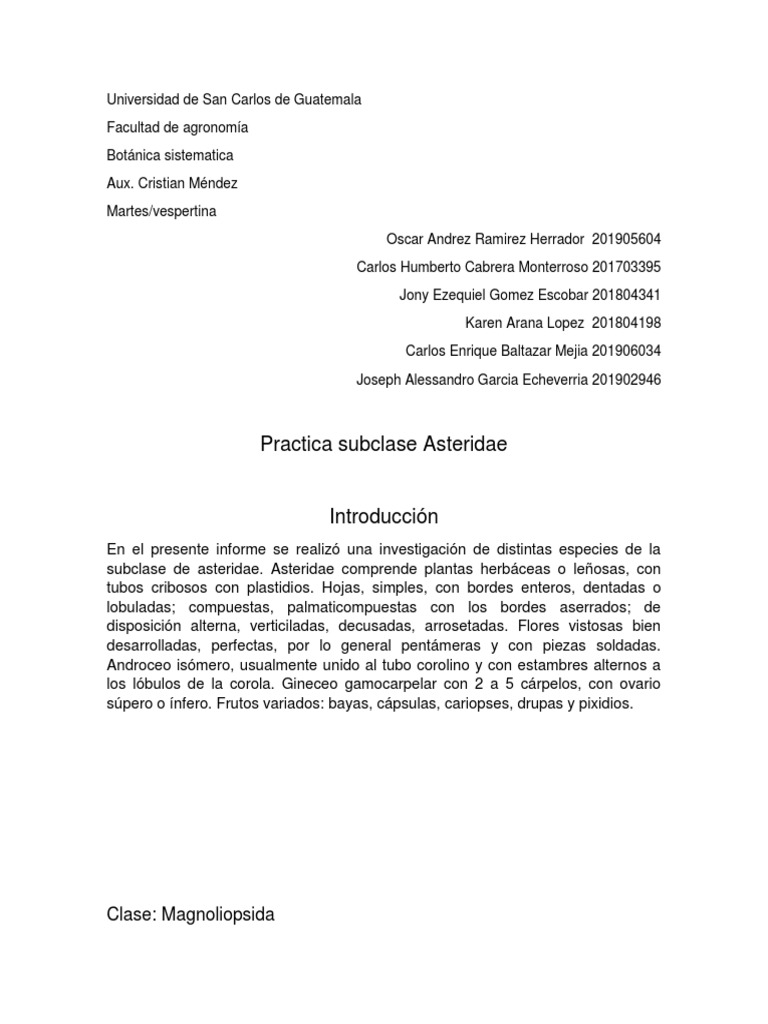 Subclase Asteridae 1 | PDF | Ramas de la botánica | Organismos