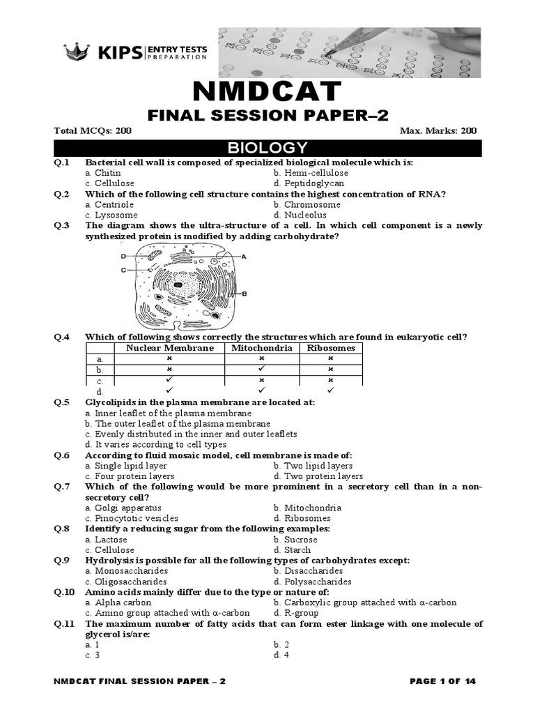 02 FLP-2 Final Session Paper-2 (Student Copy) | PDF | Inductor | Dna