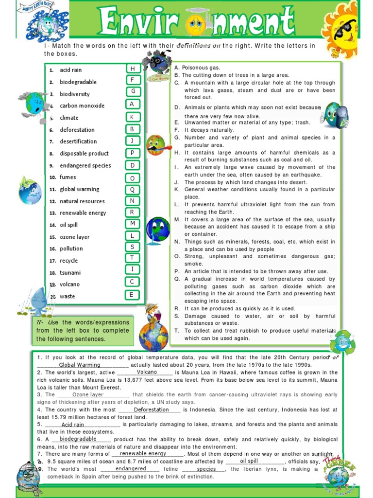 The Environment Vocabulary Practice | PDF | Volcano | Earth