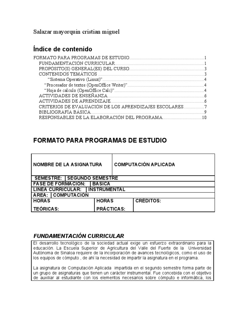 Programa COMPUTACIÓN APLICADA 2010 | PDF | Informática | Internet