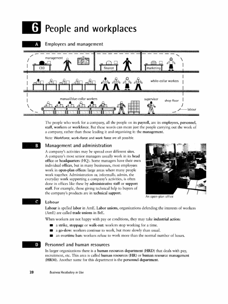 People and Workplace | PDF