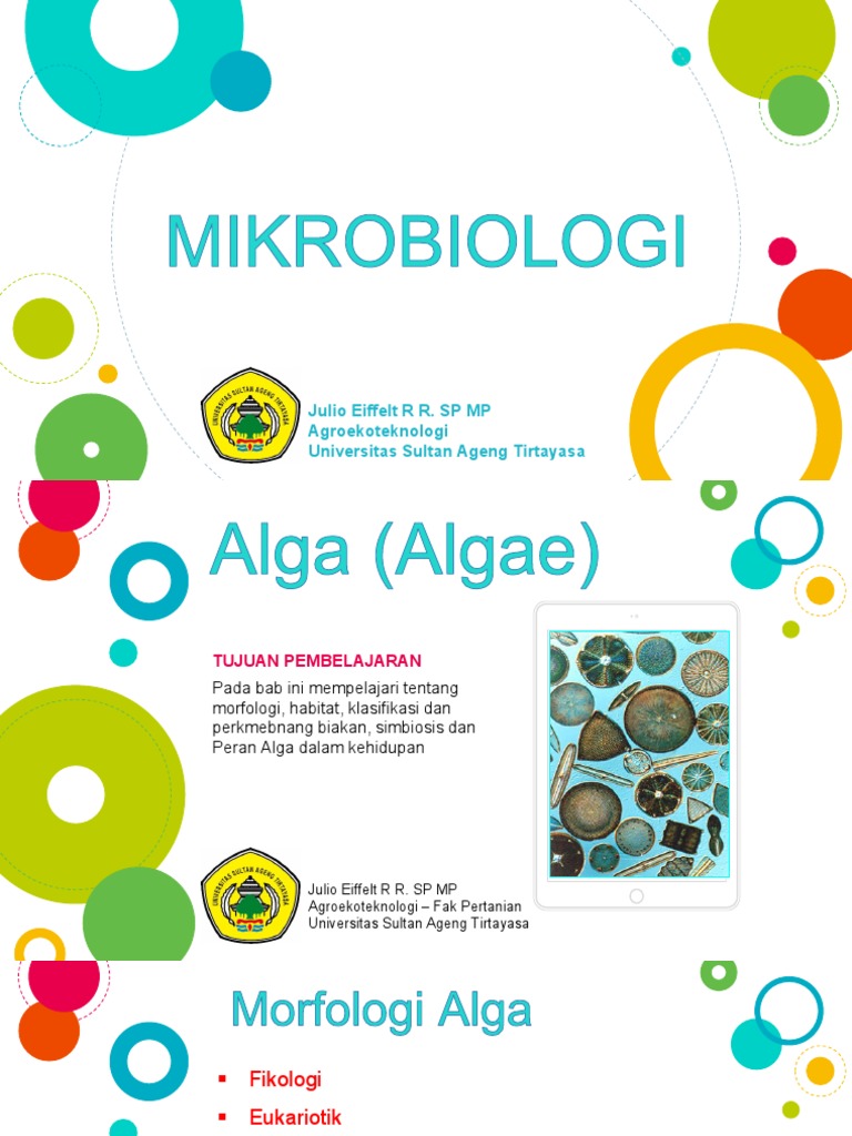Peran dan Reproduksi Alga dalam Ekosistem | PDF