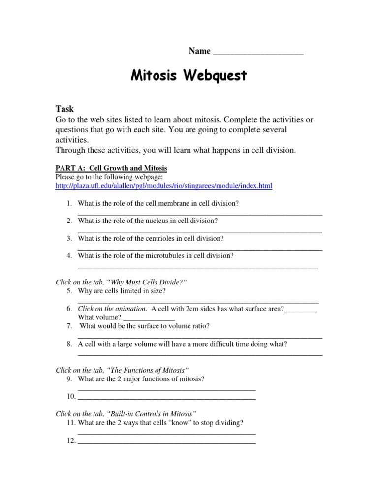 Mitosis Webquest Guide | PDF | Mitosis | Cell Biology