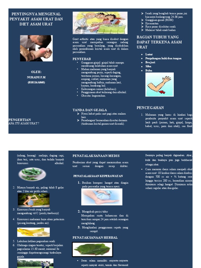 Leaflet Asam Urat | PDF