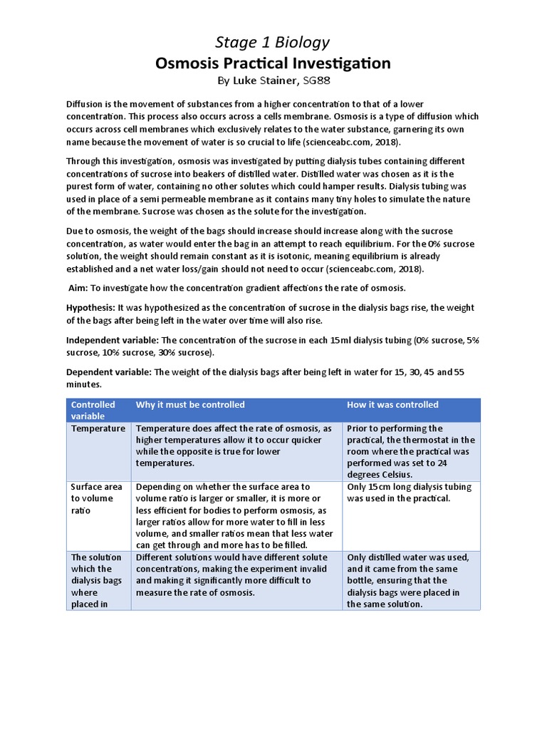 Luke Stainer Osmosis Practical Write Up | PDF | Osmosis | Observational ...