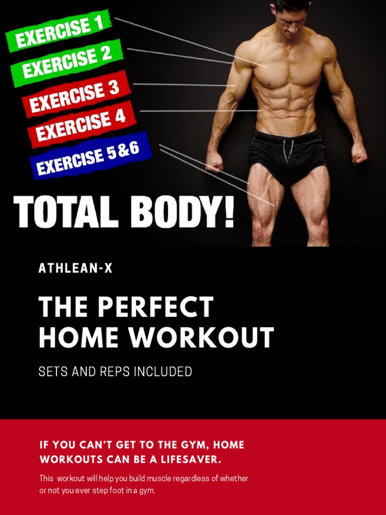 Athlean-X Perfect Home Workout Plan | PDF | Knee | Human Anatomy