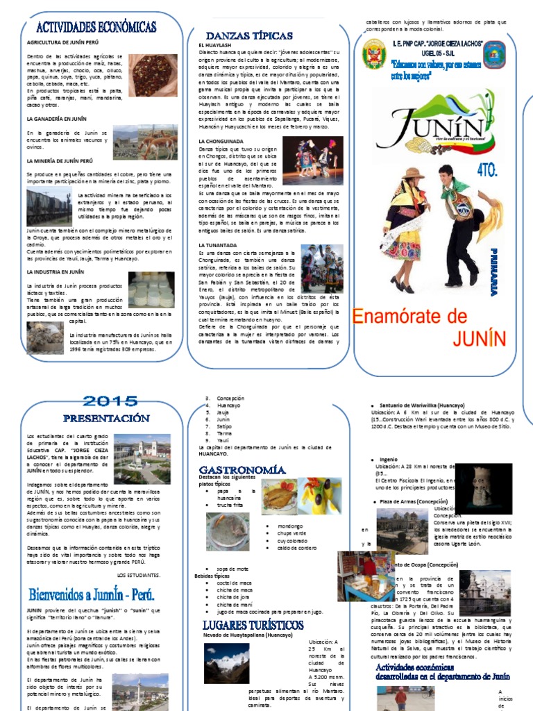 Triptico Regional - Junin | PDF | Agricultura | Ganadería