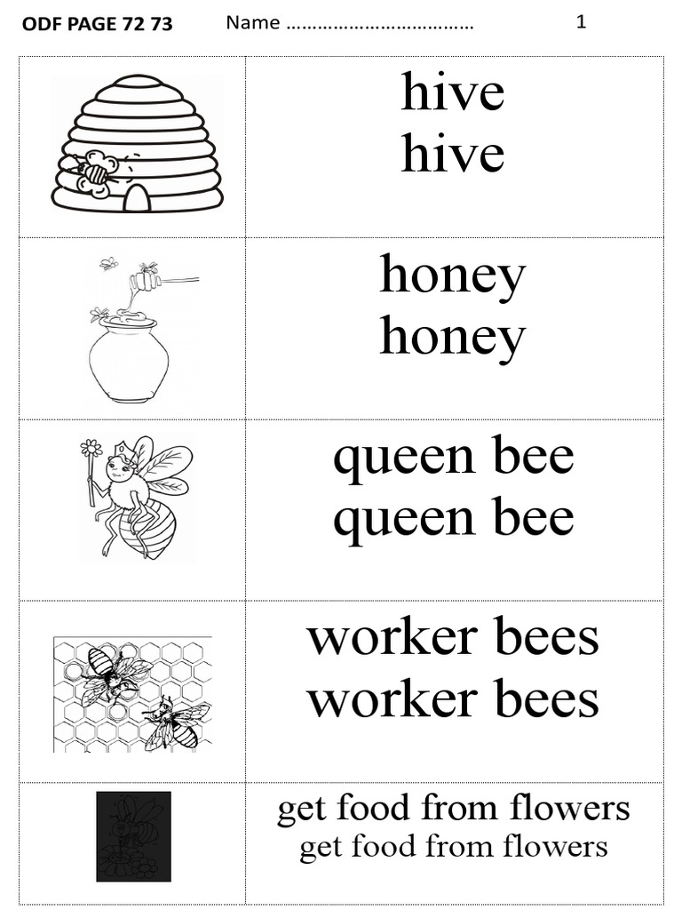 Odf Page 72 73 Worksheet | PDF | Beehive | Bees