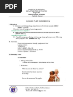 A LESSON PLAN in SCIENCE 6 Vertebrates and Invertebrates | PDF ...