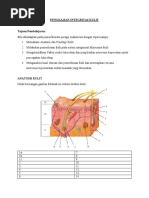LP Gangguan Integritas Kulit | PDF