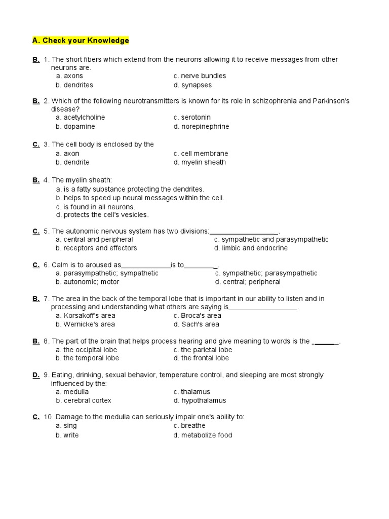 Assessing Brain Function and Potential Treatments: A Review of the ...