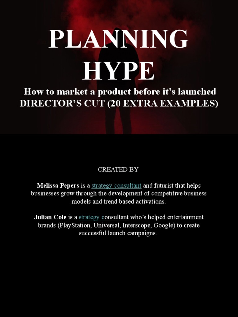 Planning Hype Extended Version | PDF | Netflix | Brand