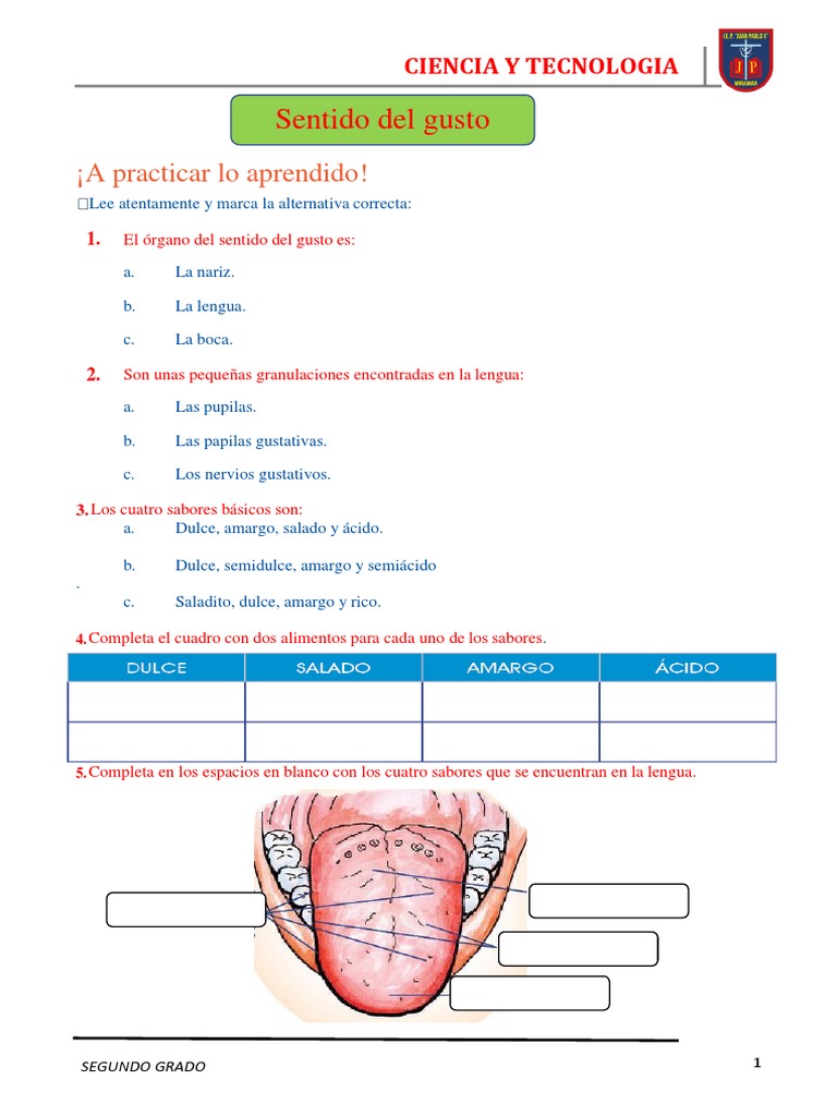 Sentidos: Gusto y Audición para Niños | PDF | Gusto | Sentidos