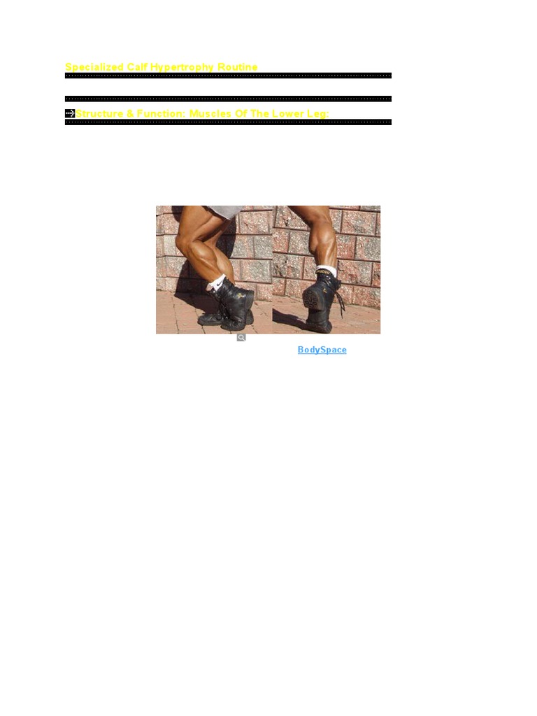 Specialized Calf Hypertrophy Routine Lagging Body Parts | PDF | Human ...