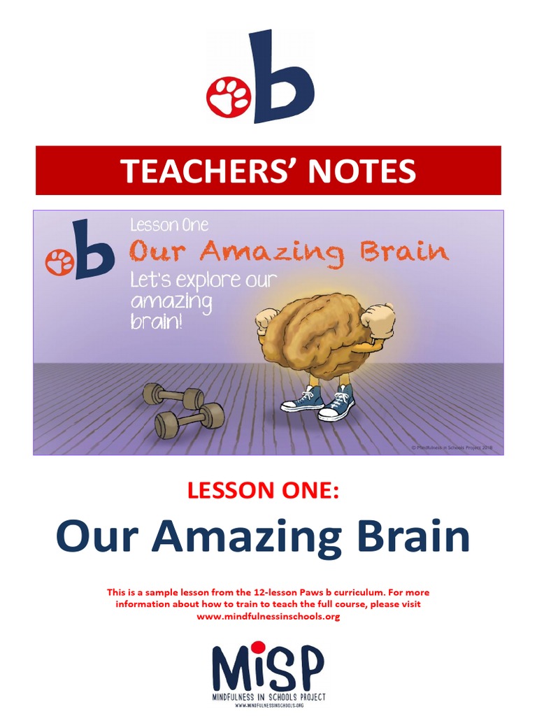 Teachers' Notes: Our Amazing Brain | PDF | Mindfulness | Mind