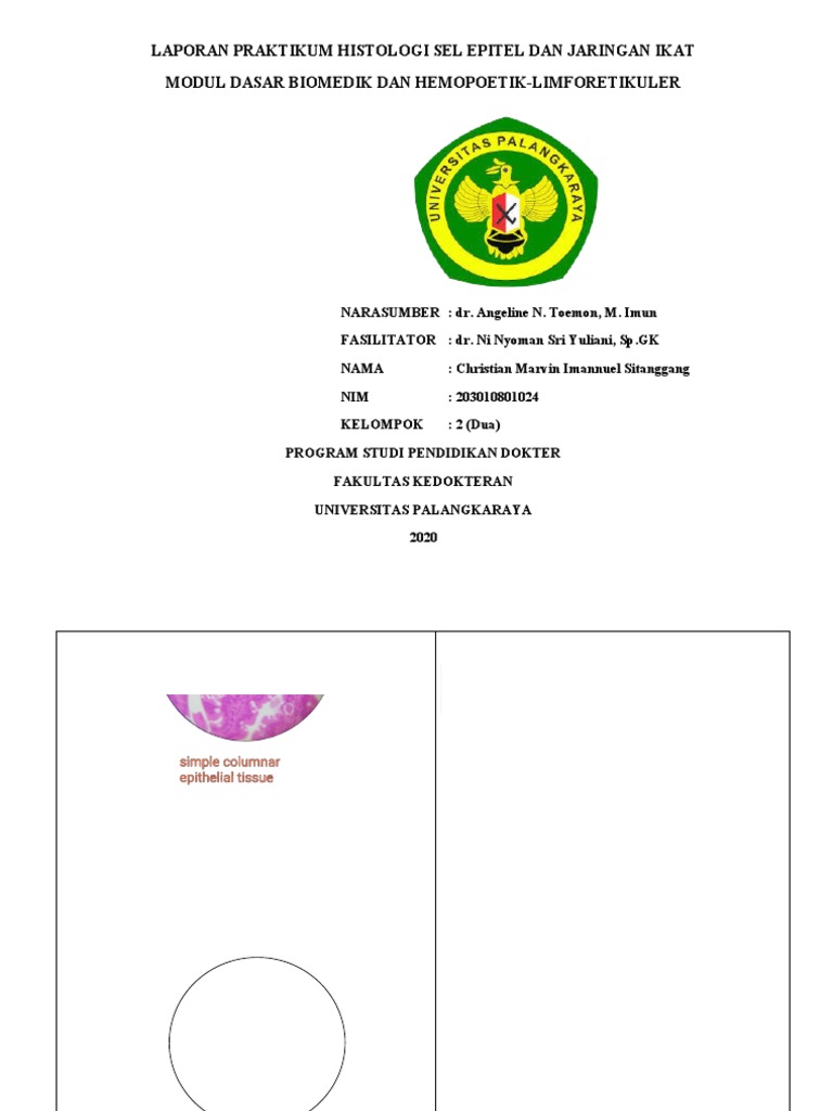 Laporan Praktikum Histologi Sel Epitel Dan Jaringan Ikat | PDF