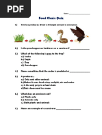 Food Chain Graphic Organizer | PDF | Foods