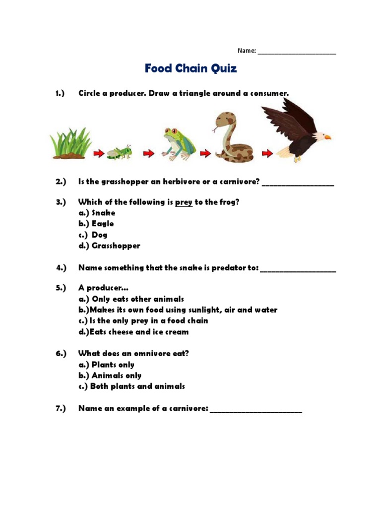 Food Chain Quiz | PDF | Science & Mathematics